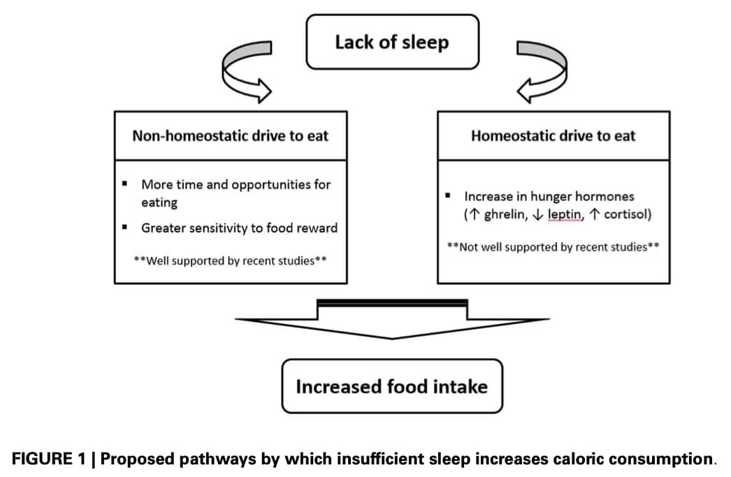 How sleep impacts what and how much you eat | Energize Nutrition
